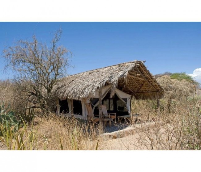Tindiga Tented Camp - Shadows Of Africa