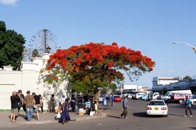 Bulawayo - Shadows Of Africa
