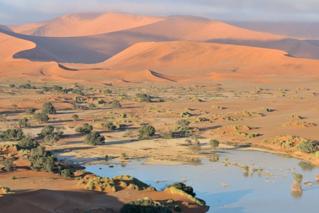 Sossusvlei and Deadvlei - Shadows Of Africa